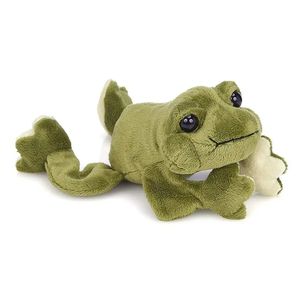 Frank the Frog – Wicked Good Books | Silly Bunny