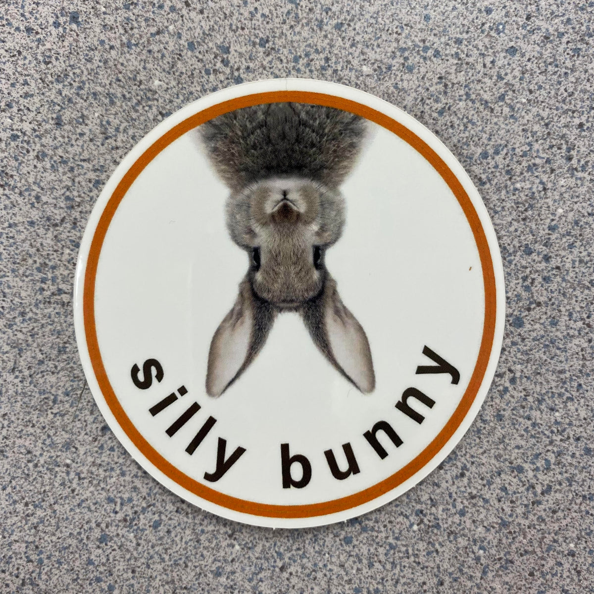 Silly Bunny Logo Sticker – Wicked Good Books | Silly Bunny